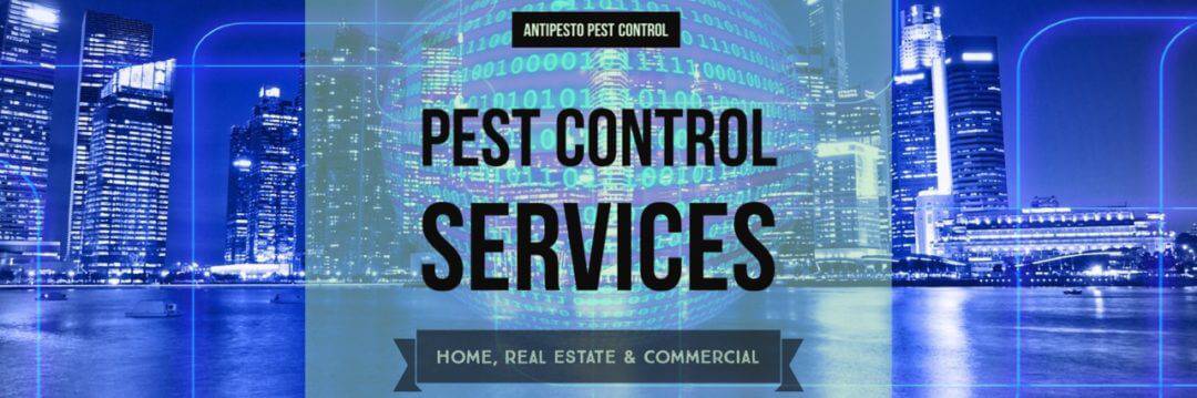 Pest Control Perth - Pest Control Joondalup- Affordable Pest Control